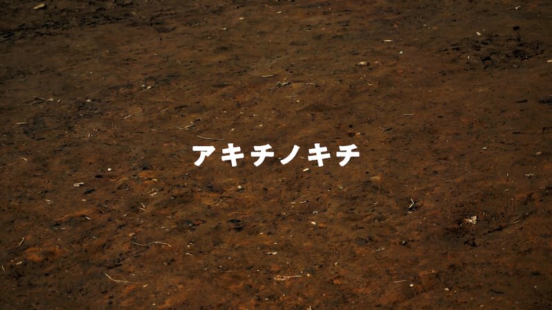 新しい暮らしを提案する「アキチノキチ」開催！ 「white squat」プロジェクト - 100BANCH