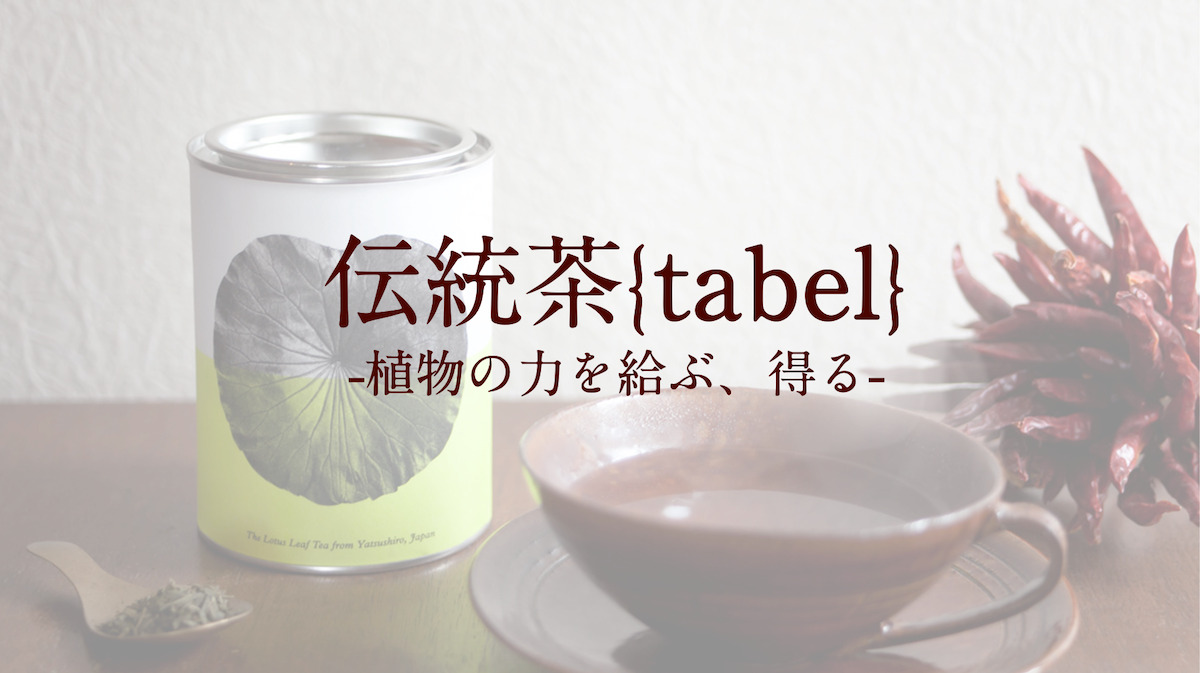 植物の力を給ぶ、得る。：新田理恵（TABEL株式会社 代表） - 100BANCH