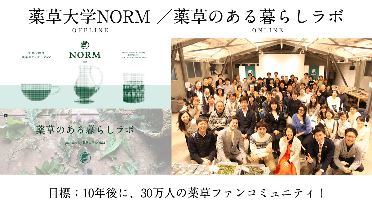 植物の力を給ぶ、得る。：新田理恵（TABEL株式会社 代表） - 100BANCH
