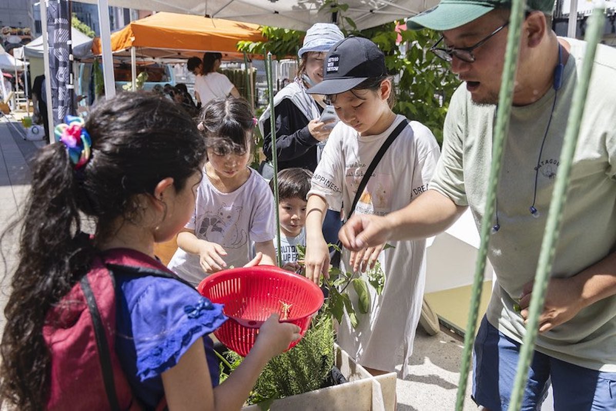 シブヤの循環型農園で収穫して食べる！100BANCH farm BIG LUNCH─ナナナナ祭2023を終えて - 100BANCH