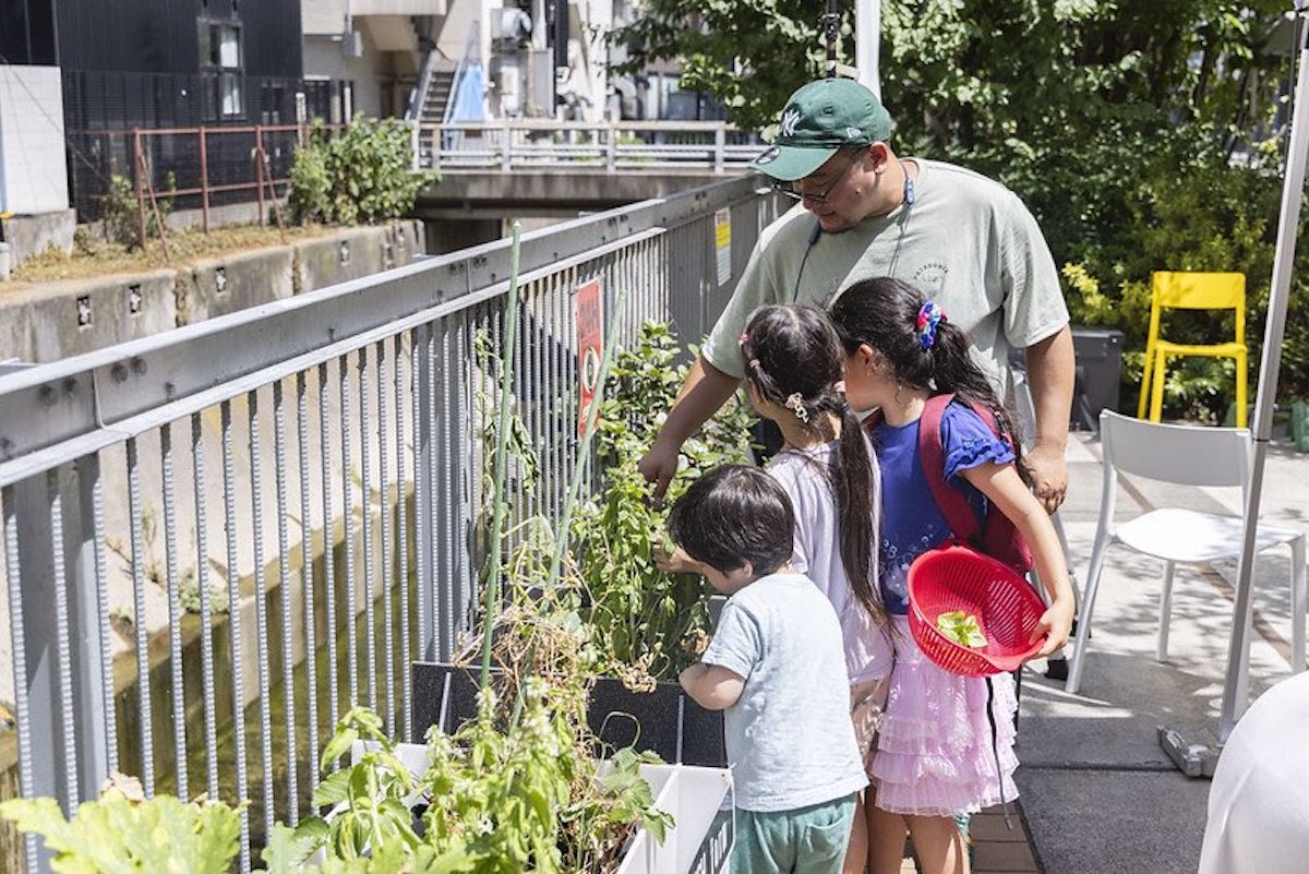 シブヤの循環型農園で収穫して食べる！100BANCH farm BIG LUNCH─ナナナナ祭2023を終えて - 100BANCH