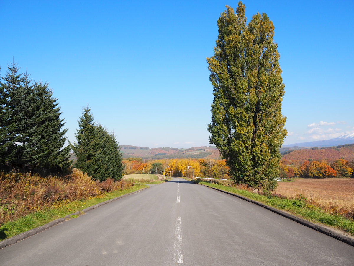 出る杭は打たれないのではなく、打たれてもへこたれずに出続ける。——2024年 今年の抱負！ - 100BANCH