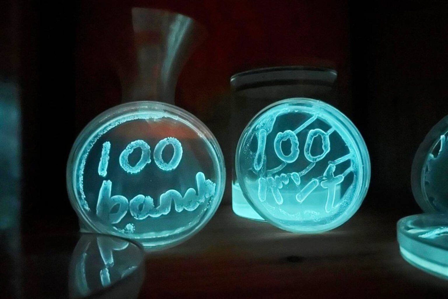 DESIGNART 2024 - 100BANCH