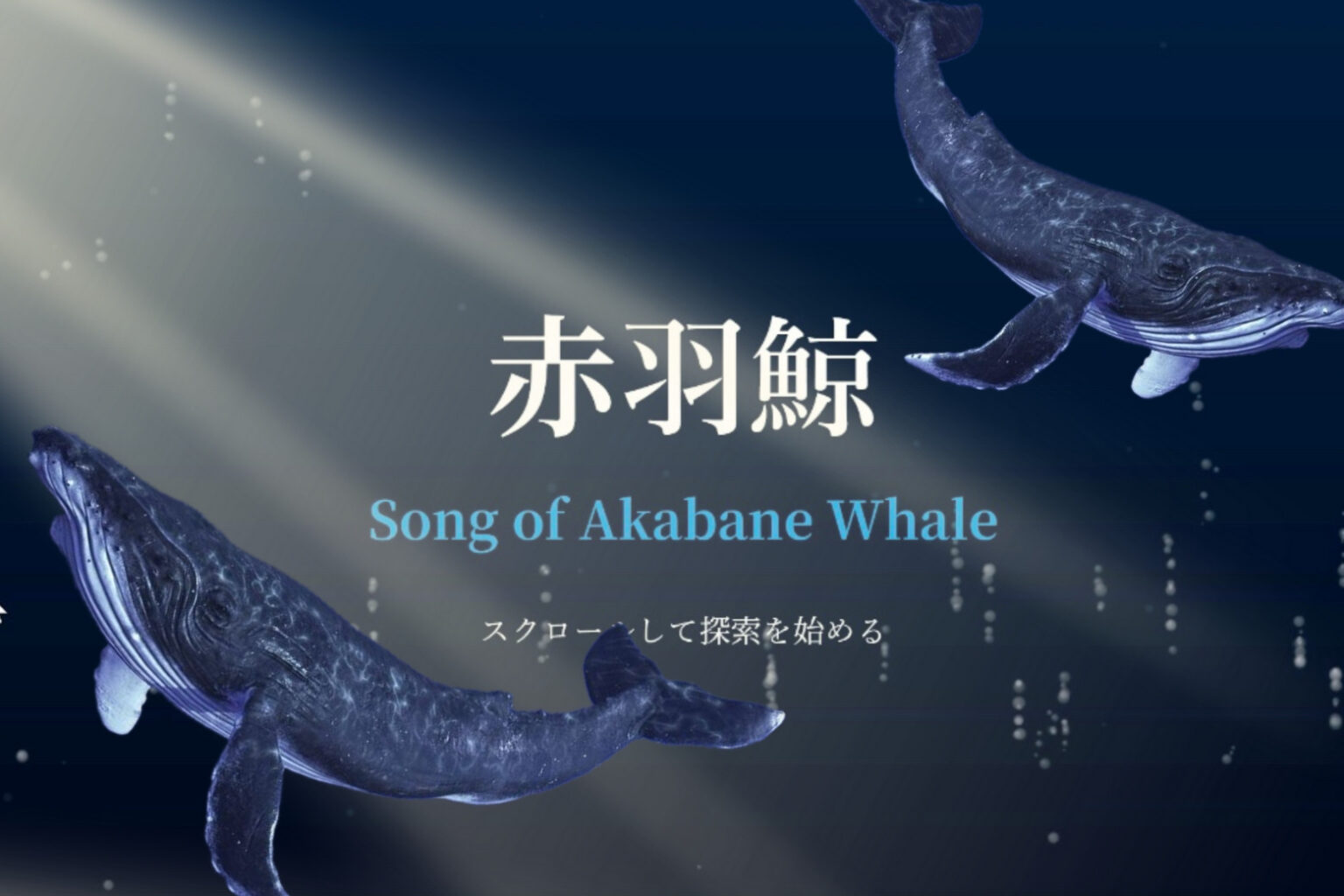 DESIGNART 2024 - 100BANCH