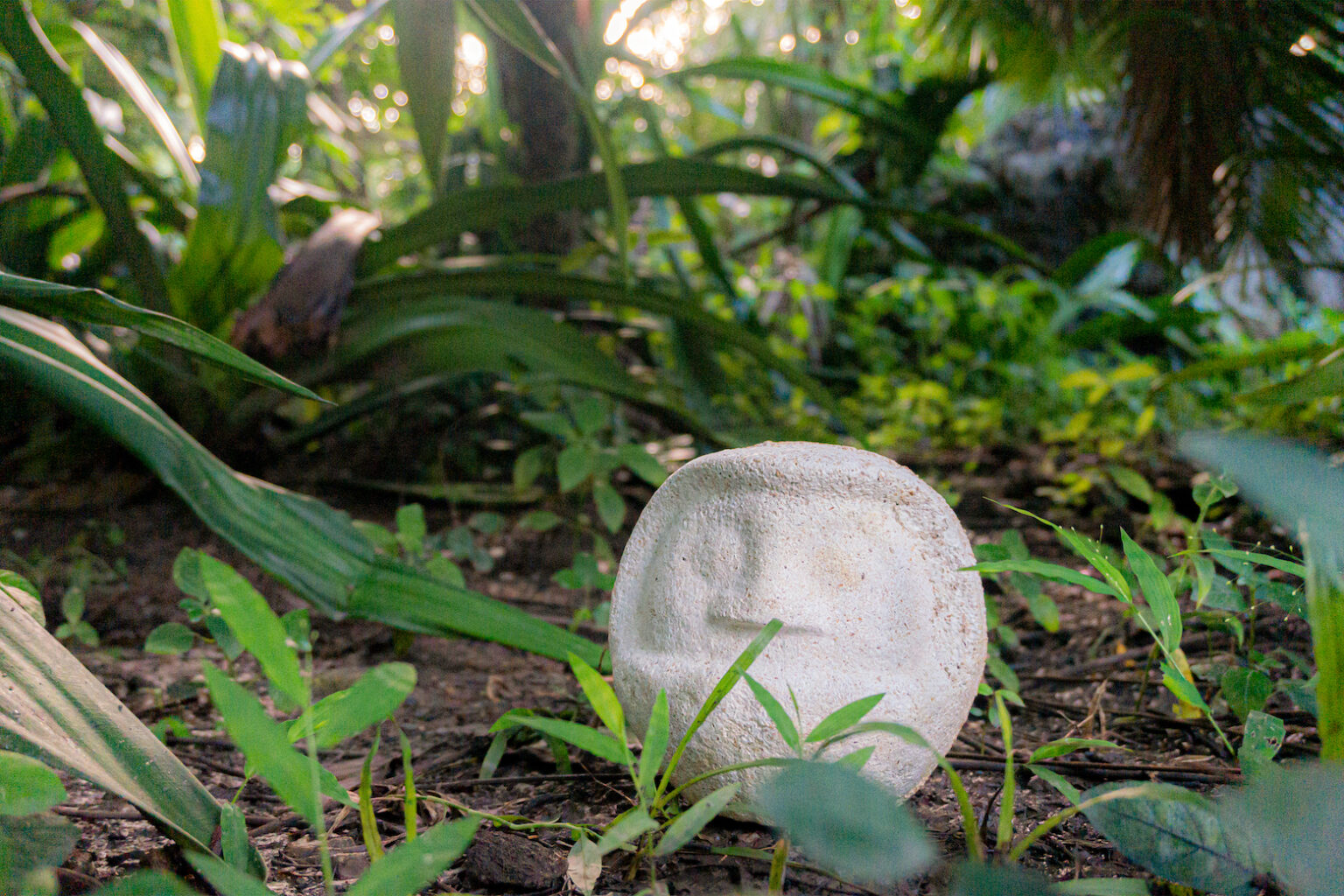 DESIGNART 2024 - 100BANCH