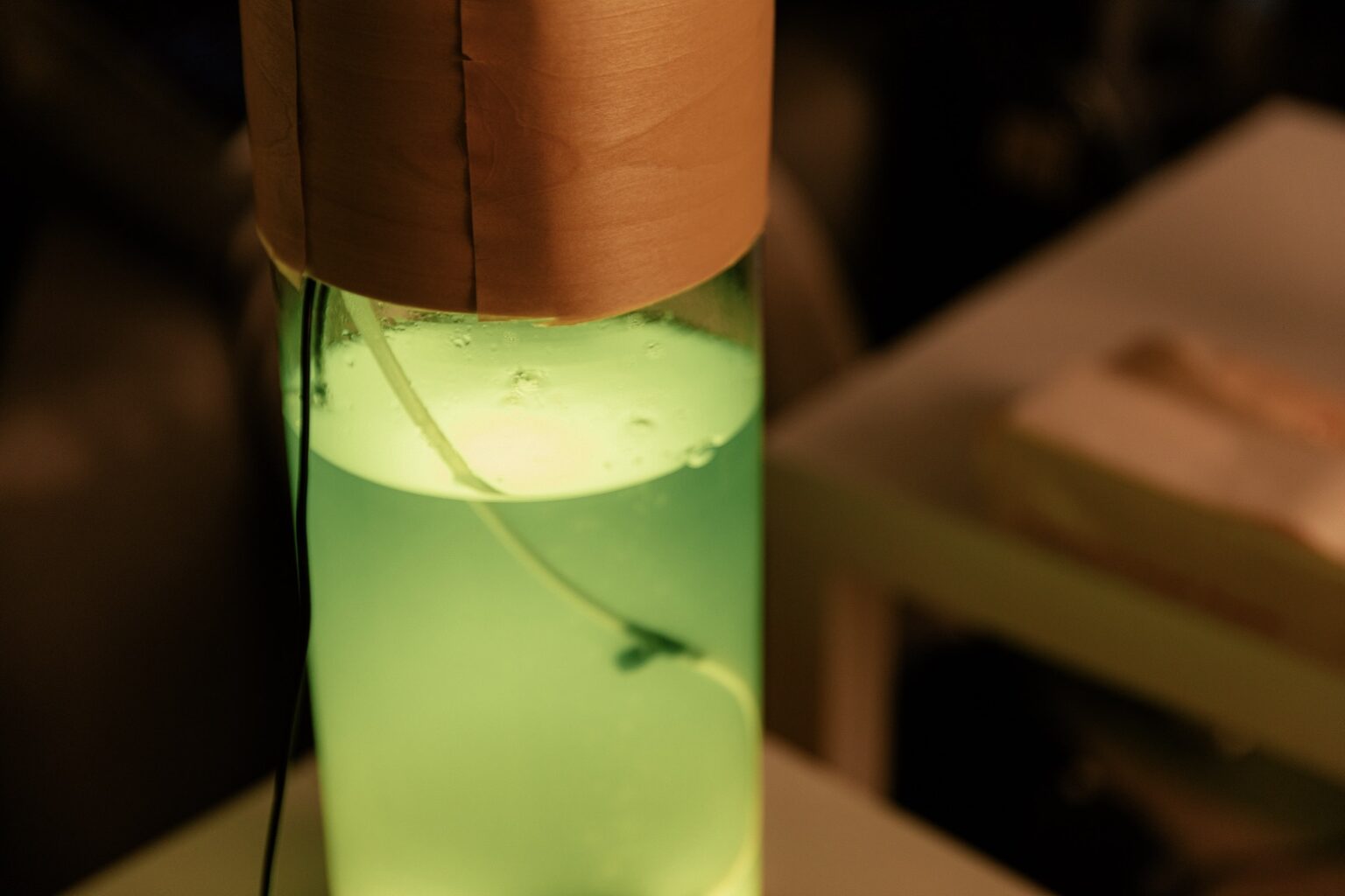 DESIGNART 2024 - 100BANCH