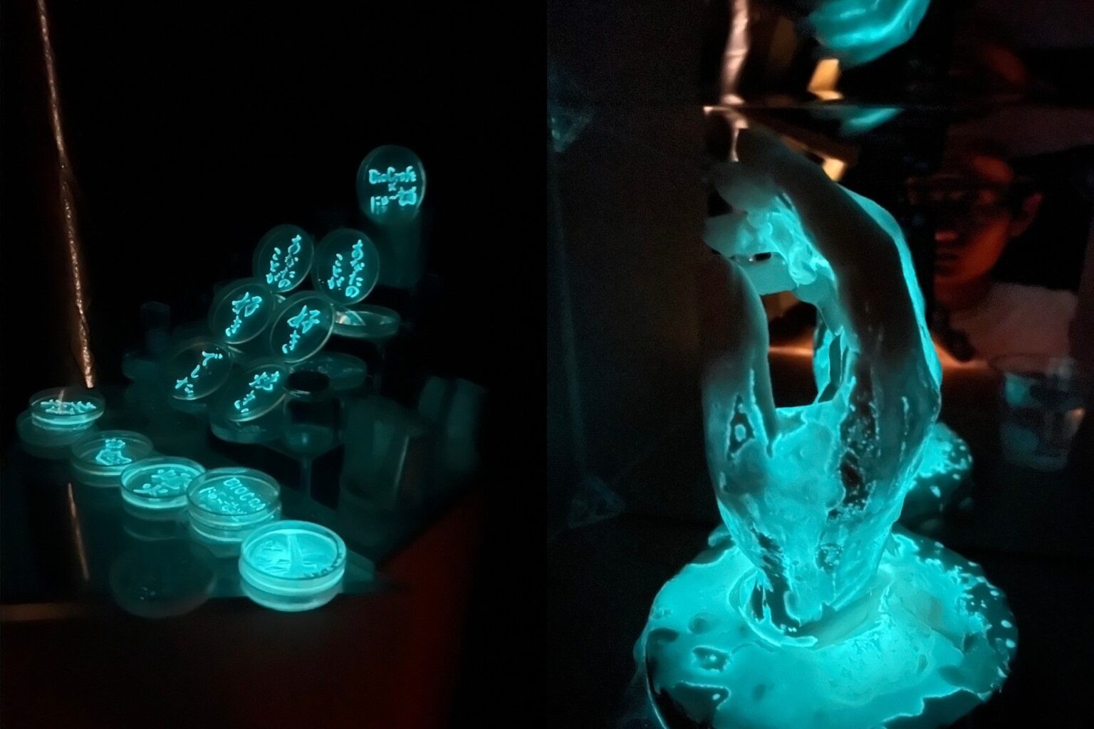 2025年も実験するよ！どうもBioCraftです——2025年 今年の抱負！ - 100BANCH